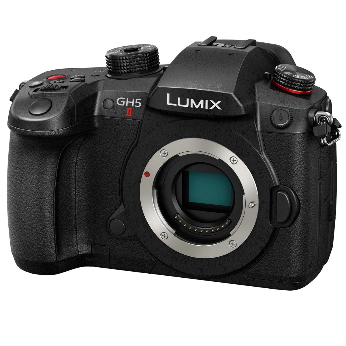 Panasonic LUMIX GH5II Mirrorless Camera Bundle with 128GB SD Card, Bag, Extra Battery, Charger, Wrist Strap, Screen Protector, Cleaning Kit