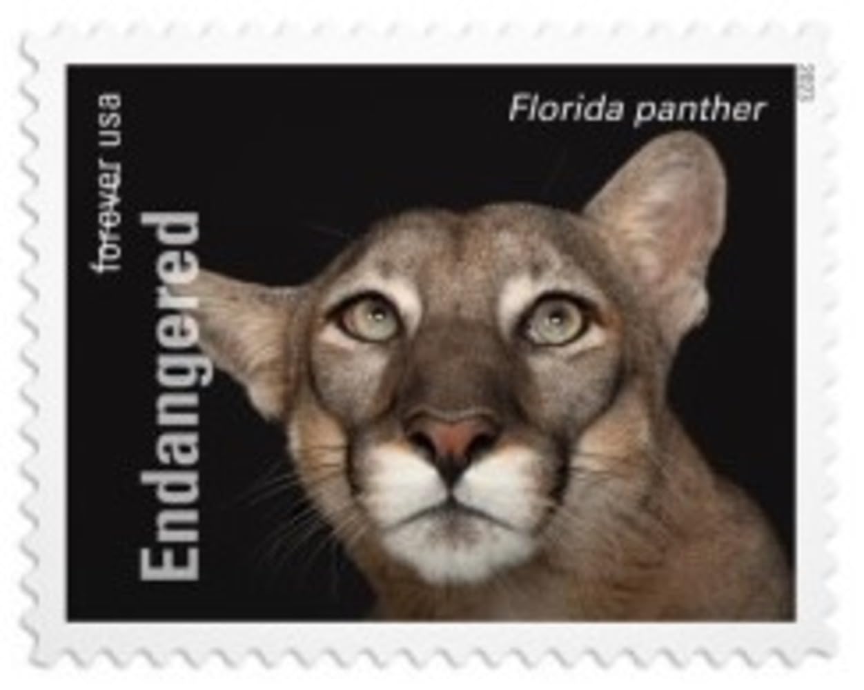 Endangered Species (Sheet of 20) Postage Forever Stamps US Postal First Class Animal Bird Fish Duck Wildlife Habitat Announcement Celebrate Anniversary Wedding 2023 Scott #5800