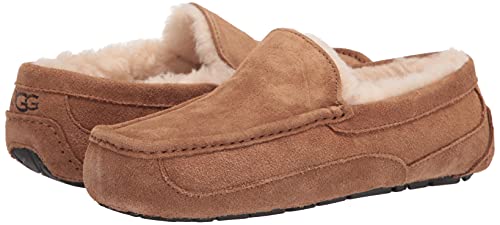 UGG Men's Ascot Slipper, Chestnut, 12 M US