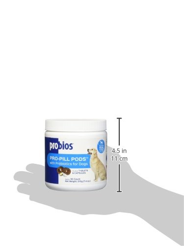 Probios Chr-997 Peanut Pro-Pill Pods, Large