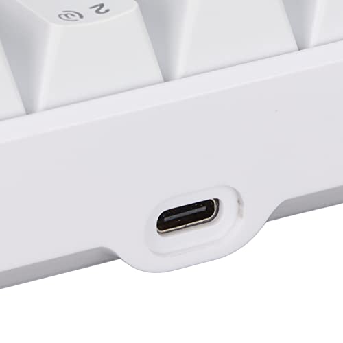 Zyyini Mechanical Keyboard, 61 Key Mechanical Gaming Keyboard with RGB Backlit Computer Keyboard, 3 Mode Connection, for Windows/for HarmonyOS/for Android/for iOS(Red Shaft)