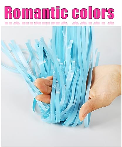 Vanujoy 3pcs Macaron Light Blue Tinsel Foil Fringe Backdrop Curtains 2024 Graduation Party Decoration - Party Door Wall Streamer Photo Backdrop for Birthday Wedding Engagement Bridal Shower Decoration