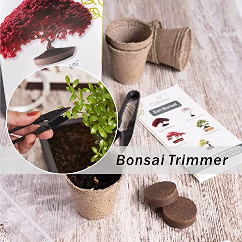 JINJIAN Bonsai Pruning Scissors 6PCS - Small Pruner Shears Bud Leaves Trimmer Garden Shears for Plants, Gardening Clippers for Flower Bonsai Trimming Pruners Trimmers Secateurs(BLACK)