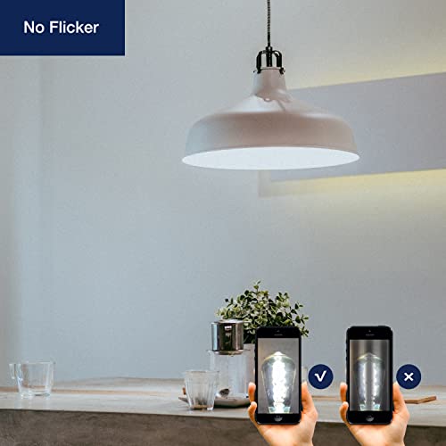 FLSNT 5000K Daylight ST19 LED Edison Bulbs, Vintage LED Dimmable Spiral Filament Light Bulbs, E26 Medium Base, 4W(40W Equivalent), CRI80, 150LM, 4 Pack, Smoky Grey Glass