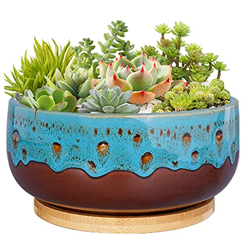 MPotTo 8 Inch Succulent Planter Pot Ceramic Round Shallow Planter Blue Flower Pot with Drainage Hole and Bamboo Tray