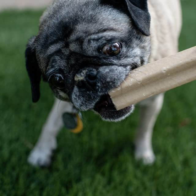 Loving Pets Yummy Bones - Peanut Butter Flavor Filled Bones for Dogs (for Medium/Large Dogs 20-100+ lbs)