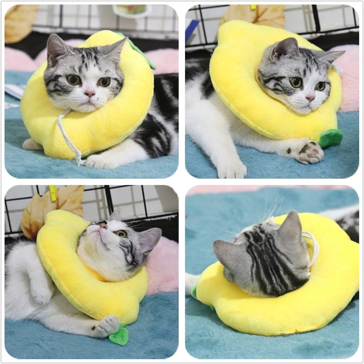 Vehomy Pet Cat Recovery Collar Cat Soft Lemon Neck Cone Adjustable Pet E Collar After Surgery, Wound Healing Protective Cat Elizabethan Collar for Kitten & Puppy