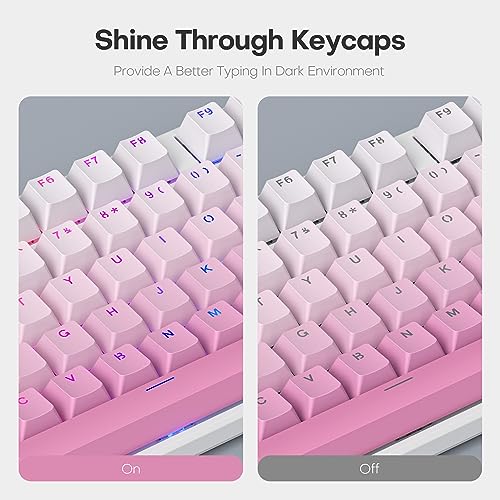 Ussixchare Gradient Keycaps, PBT Double Shot 104 Keys Keycaps, OEM Profile Custom Keycaps Set for 61/87/104 Cherry Gateron MX Switches Mechanical Keyboard(Lover Pink)