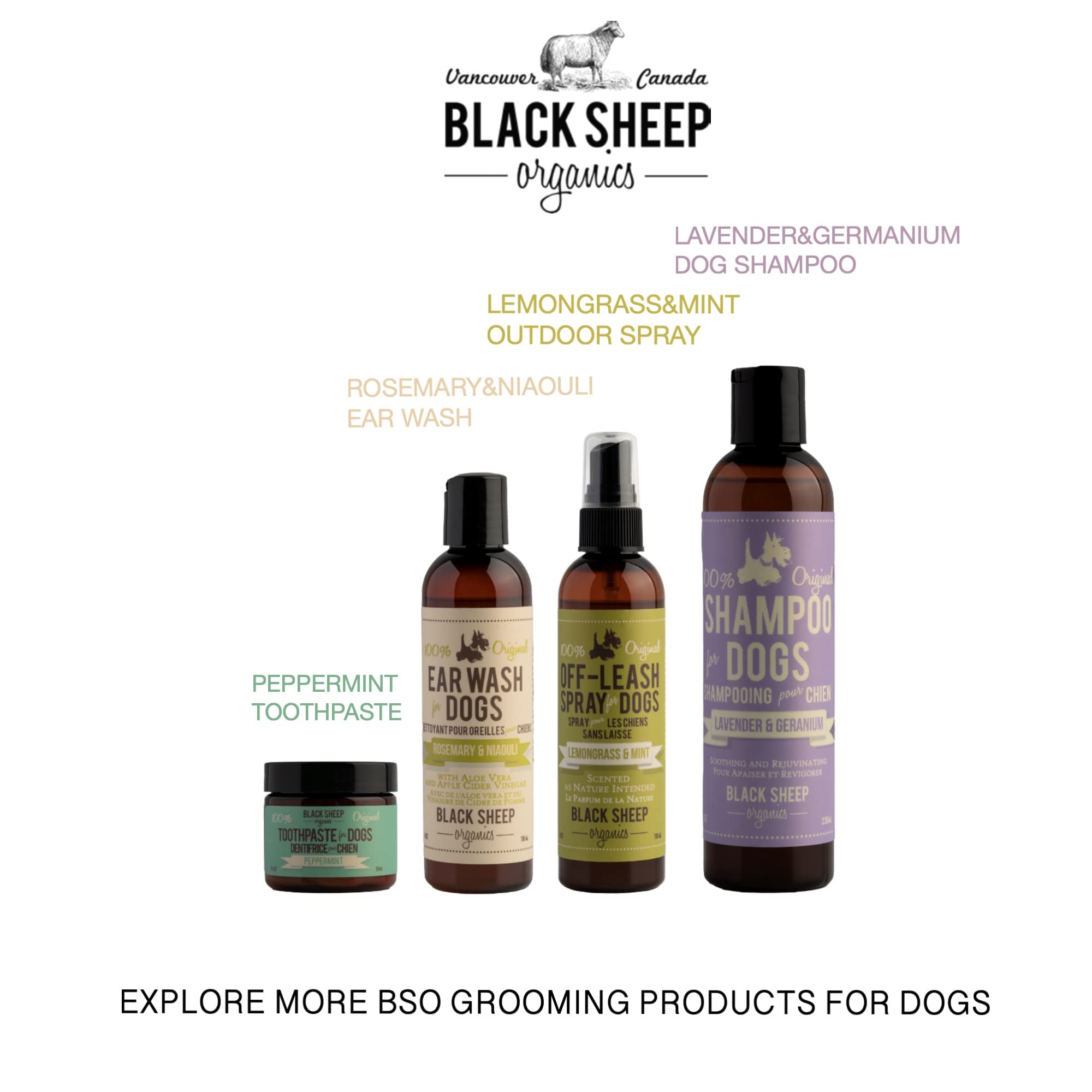 Natural Dog Ear Cleaner Solution - Dog Itchy Ears Treatment - Eliminates Odor & Waxy Buildup - Gentle Dog Ear Wash Formula - Made in Canda by Black Sheep Organics (4 fl oz)