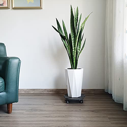 NOAMOO Round Plant Caddy with Wheels Heavy Duty Outdoor Indoor 12 Inch 2 Pack,Rolling Plant Stand with Casters for Heavy Pots 150LBS,Charcoal