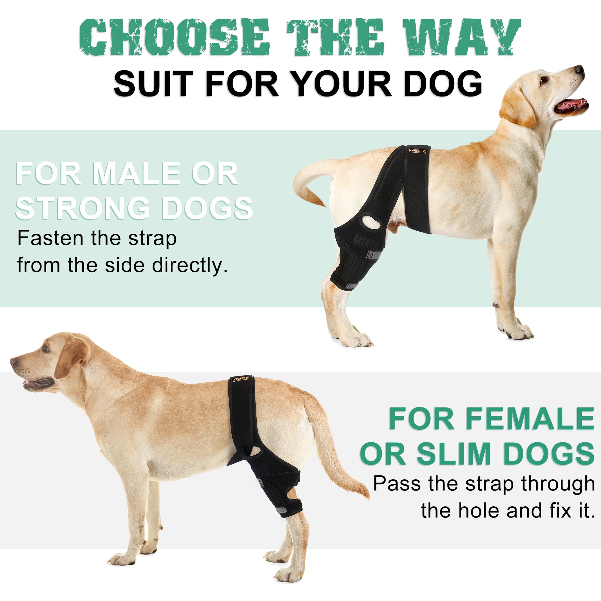 OPSELU Dog Knee Brace for Torn ACL Hind Leg with Side Stabilizers,Knee Cap Dislocation, Arthritis - Keeps The Joint Warm and Stable - Extra Support - Reduces Pain and Inflammation (S)
