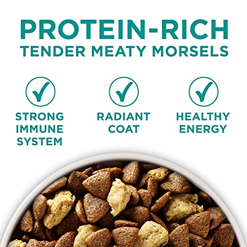 Purina One Plus Digestive Health Formula Dry Dog Food Natural with Added Vitamins, Minerals and Nutrients - 16.5 Lb. Bag