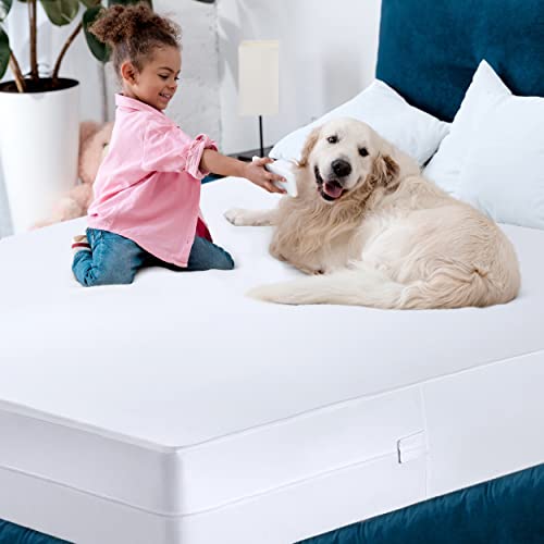 Utopia Bedding Zippered Mattress Encasement Twin - 100% Waterproof and Bed Bug Proof Mattress Protector - Absorbent, Six-Sided Mattress Cover (Pack of 2)