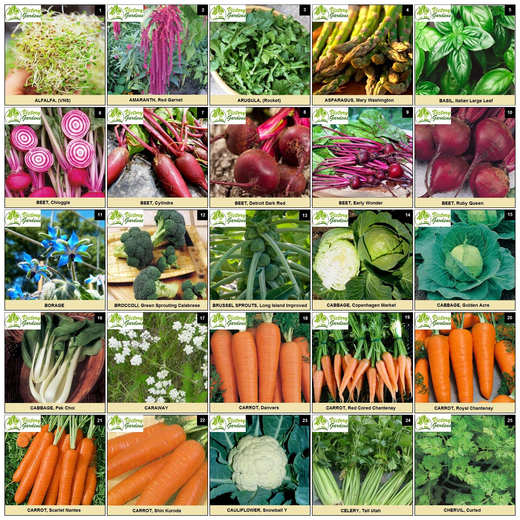Garden Seeds Vegetable Variety Pack for Planting - Grow 125 Varieties of Heirloom Non GMO Quick Sprouting Veggies - Premium Seed Vault by Victory Gardens