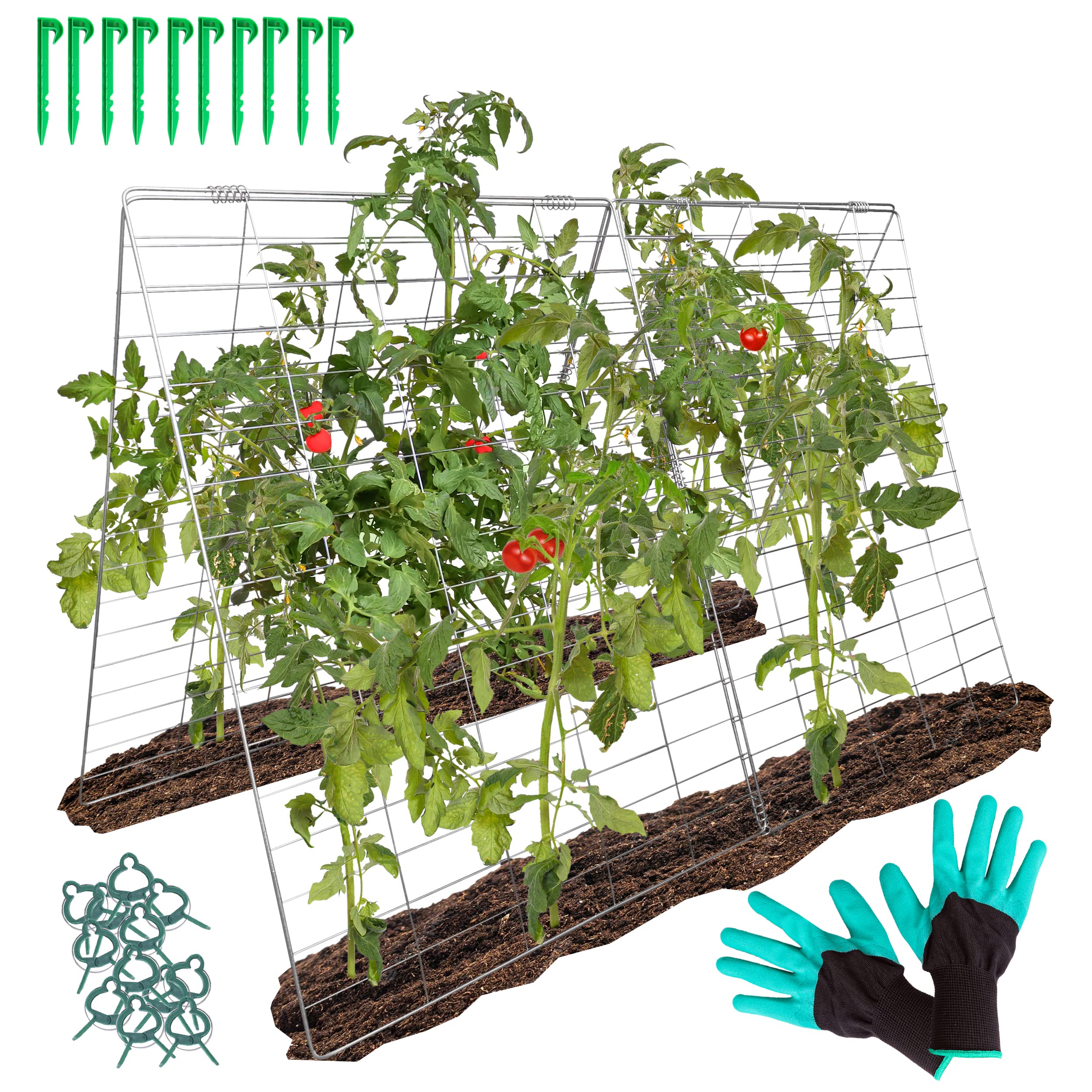 GOLETIO Cucumber Trellis for Raised Bed - 35" x 55" Garden Trellis for Climbing Plants Outdoor - A Frame Trellis for Climbing Vegetables with Plant Support Clips and Gloves
