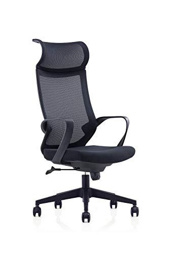 Ergonomic Mesh Office Chair with Synchro-Tilt, Pivot Adjustable Headrest, Lumbar Support, Coat Hanger and Adjustable Arms in Black (193A)