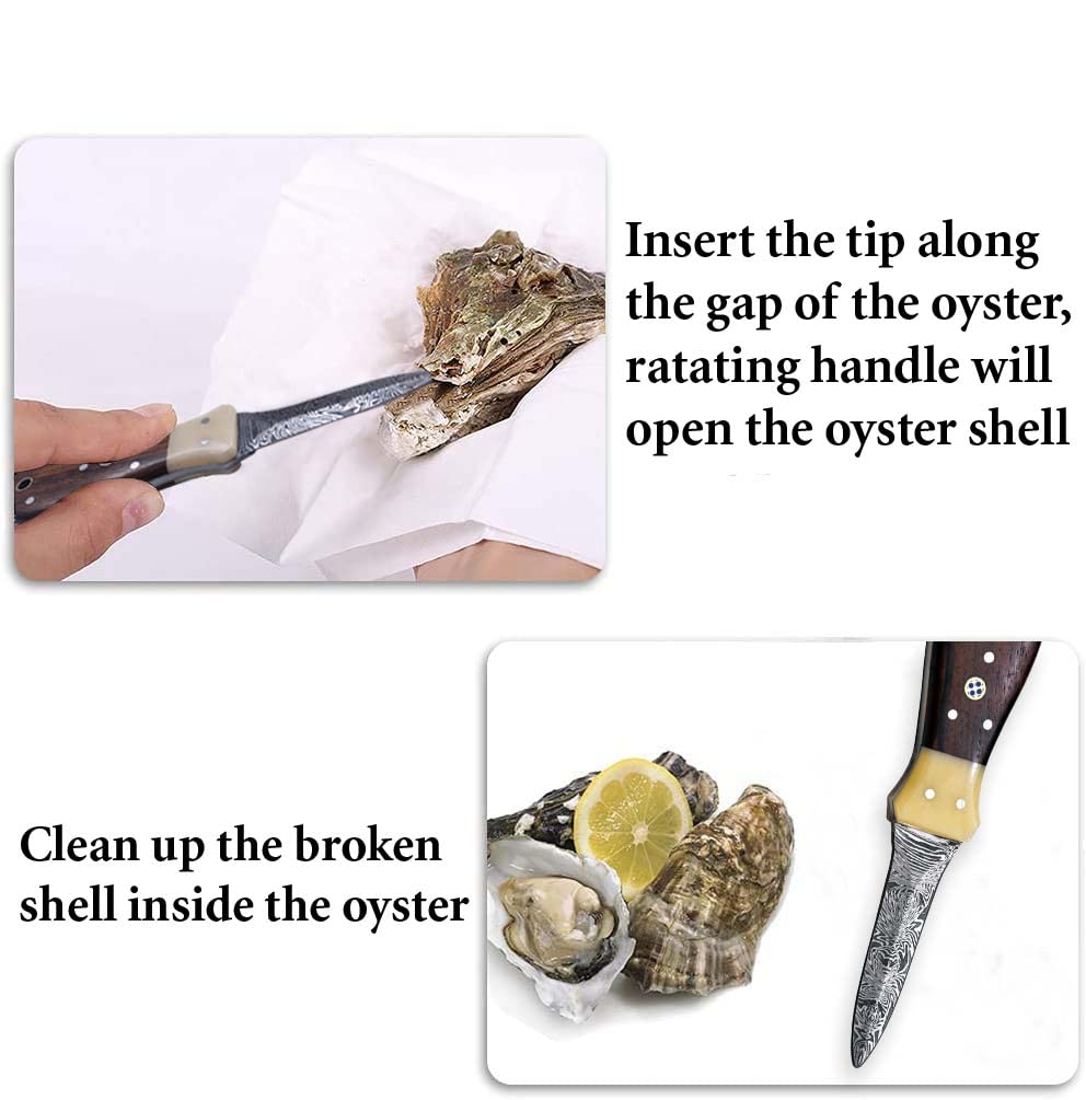 Premium Oyster Shucker Knife Oyster Knife Damascus Steel Clam Knife Resin Handle Leather Sheath Seafood Opener Kit Tool Non Slip Handle (Resin Handle)