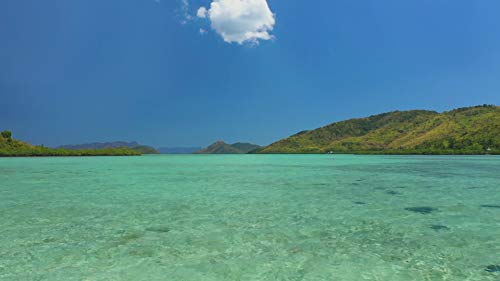 Ocean and Underwater DVD - Under And Above The Pacific Ocean - Fly Over Tropical Paradise - Row over Coral Reefs and Dive With The Turtles