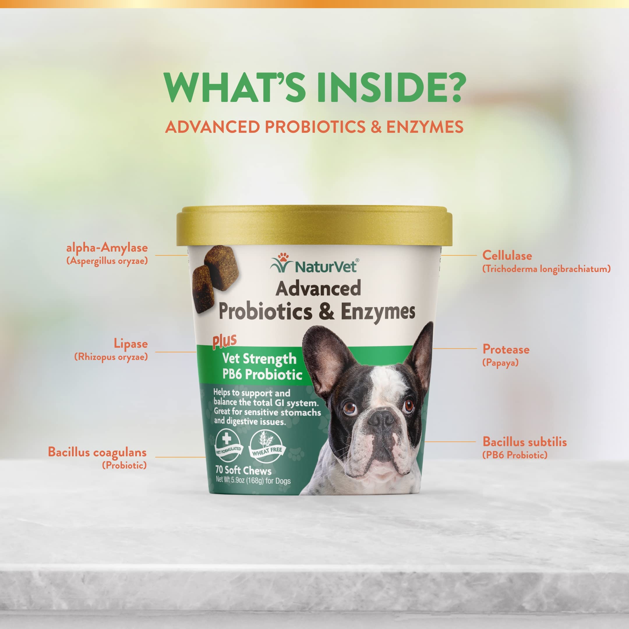 NaturVet β Advanced Probiotics & Enzymes β Supports and Balances Pets with Sensitive Stomachs β 240 ct & All-in-One Dog Supplement - for Joint Support, Digestion, Skin, Coat Care β 240 Soft Chews