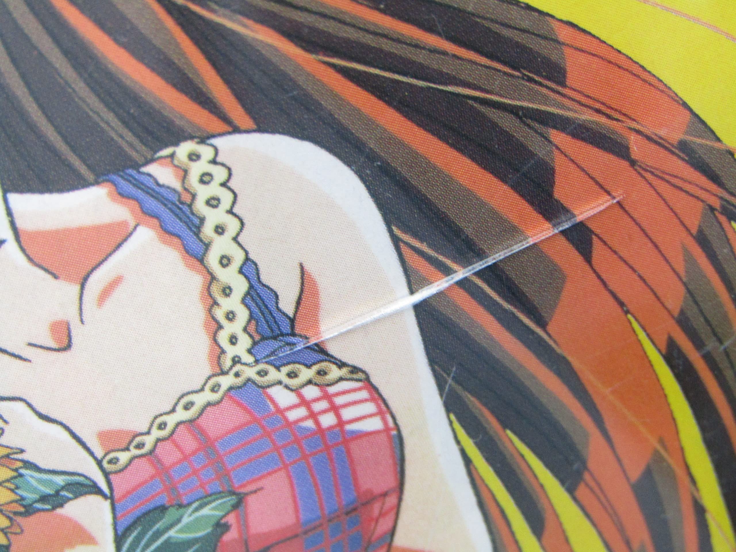 Roommate: Ryouko in Summer Vacation [Japan Import]