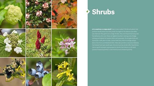 The Northeast Native Plant Primer: 235 Plants for an Earth-Friendly Garden