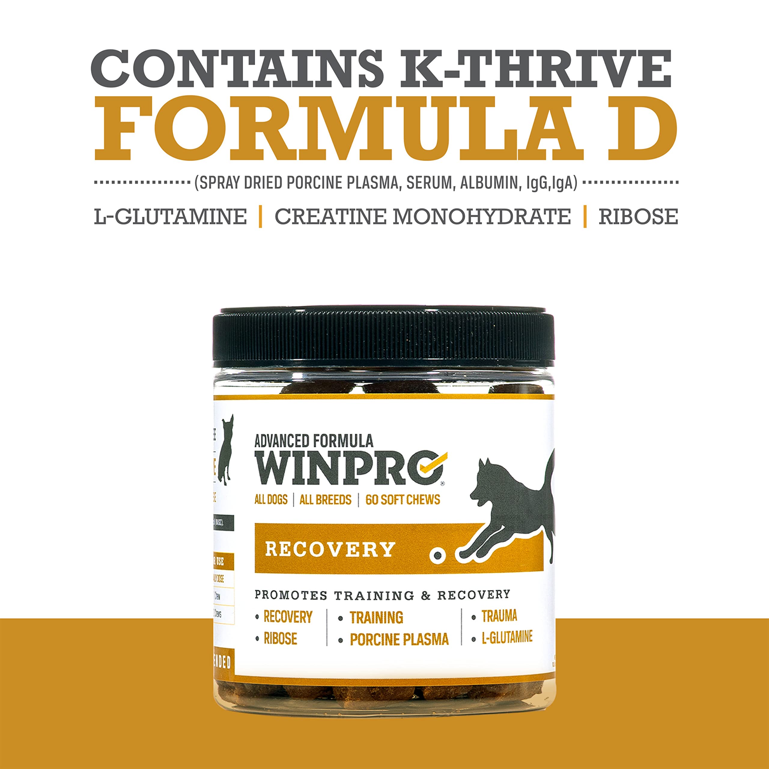 WINPRO Recovery Chews for Dogs, Plasma-Powered for Active Dogs, Immune System Support, and Dog Training Support for Competition and Sport Muscle Recovery and Agility, 60 Count, Made in USA