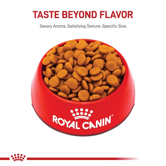 Royal Canin Medium Digestive Care Dry Dog Food, 17 lb bag