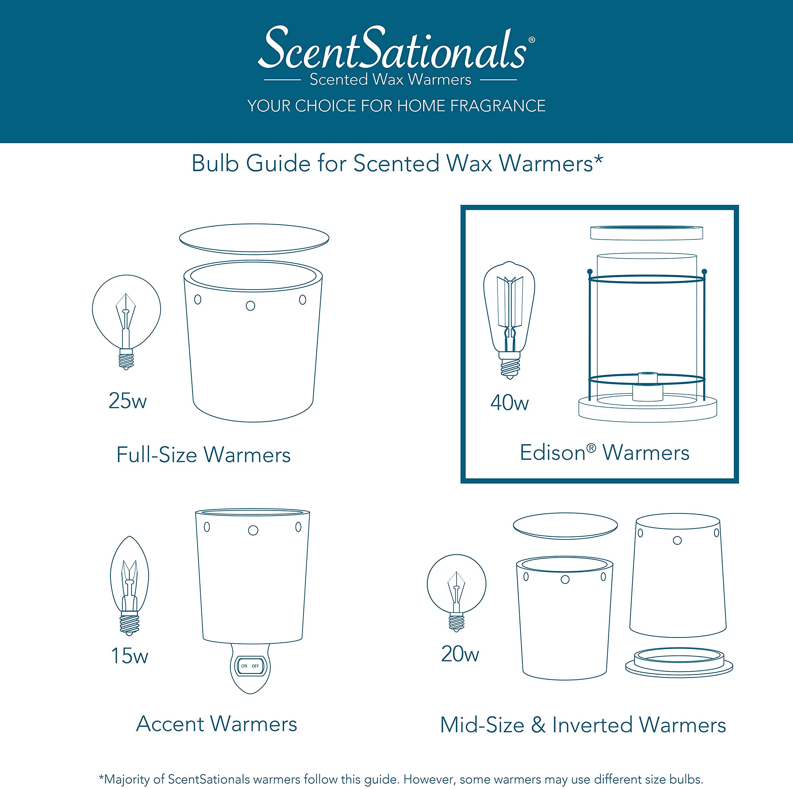 Scentsationals 40w Bulb for Edison Wax Warmer Single Unit - 40 Watt Light Candelabra E12 Base - Retro Vintage Replacement Electric Plug-in Wax Melter, Certified Style ST38 120 Volt (1 Pack)