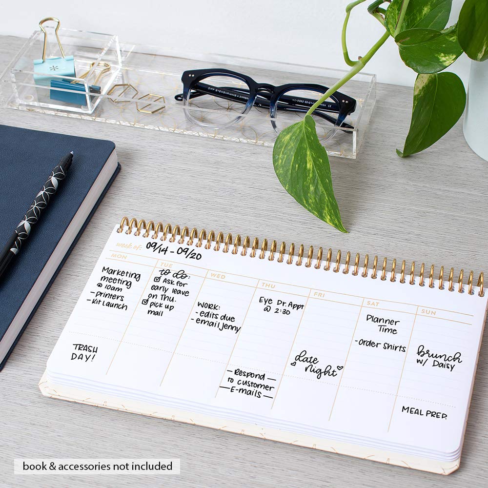 Erin Condren Designer Desk Accessories - Weekly Schedule Pad & Productivity Pad - Mid Century Circles, 10" x 10", Perfect for Desktop Decor and Weekly Planning