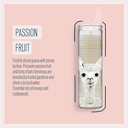 Scented Cathedral Candle by Studio Oh! - 13-Ounce Soy-Blend Wax Pillar Candle in Decorative Glass Container - Passion Fruit - Burns up to 115 Hours