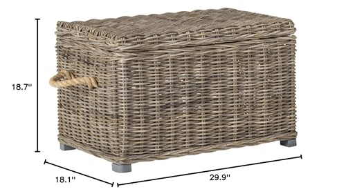 Safavieh Home Collection Salim Grey Rattan Storage Trunk