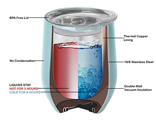 Fancyfams She Believed She Could So She Did - Congratulations Gifts - Graduation Gifts for Her - 12 oz Stainless Steel Wine Tumbler (Blue)