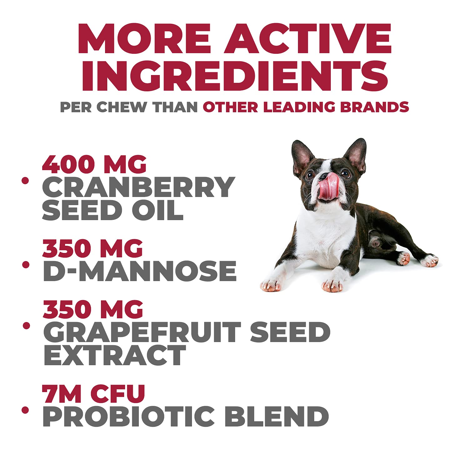 MAX Urinary Tract Support + MAX Hemp Hip & Joint Support for Dogs