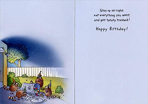 Raccoon Celebration - Oatmeal Studios Funny/Humorous Birthday Card