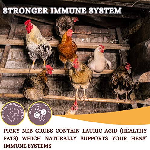 PICKY NEB 100% Non-GMO Dried BSF Larvae Grubs (5 lbs) Bulk - Chicken Treats & Molting Supplement - High-Protein Immune System Booster Snack for Chickens - 85x More Calcium Than Mealworms