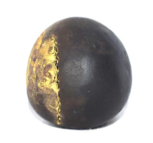 Rare Pitambara Shaligram - Gandaki River Nepal