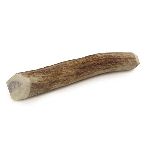 Ranch Rewards ELK Antler Dog Dental Chews Natural Way to Clean Your Dog's Teeth Bulk Too!(Small - 4" to 5" 2 Antlers)