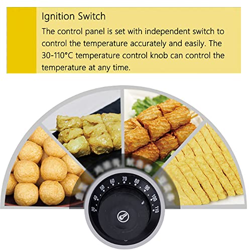 Pasta Cooker 2 Holes Noodle Cooking Machine 30-110℃ Pasta Cooking Tool 110V 2KW for Noodles Pasta Dumplings Soup