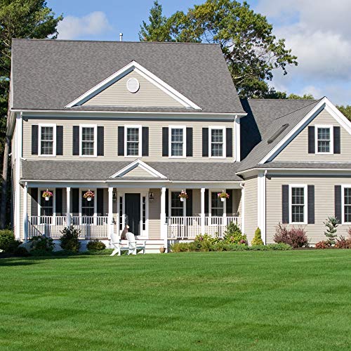 Outsidepride Maya (Blackjack II) Warm Season Drought Tolerant, Fast Growing, Bermuda Lawn, Turf Grass Seed - 50 LBS