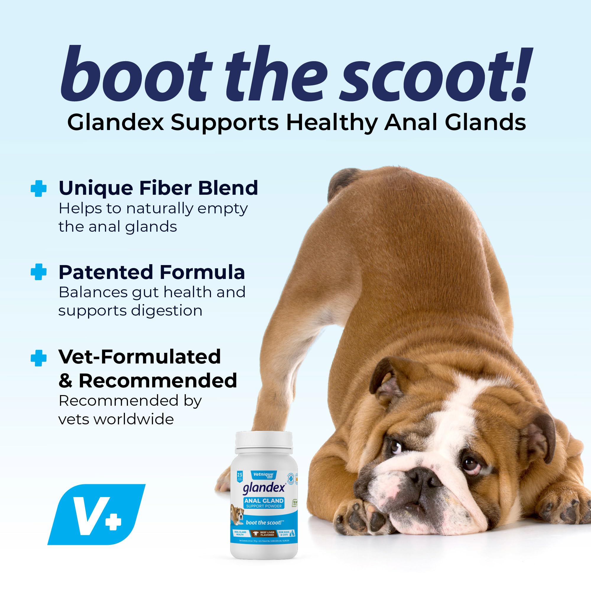 Vetnique Labs Dermabliss Seasonal Dog Allergy Chews (30ct) & Glandex Anal Gland Support Powder with Pumpkin for Dogs (5.5oz Beef) Bundle