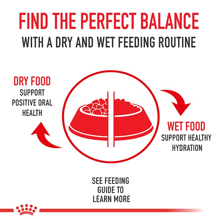 Royal Canin® Canine Care Nutrition™ X-Small Weight Care Dry Dog Food, 2.2 Lb