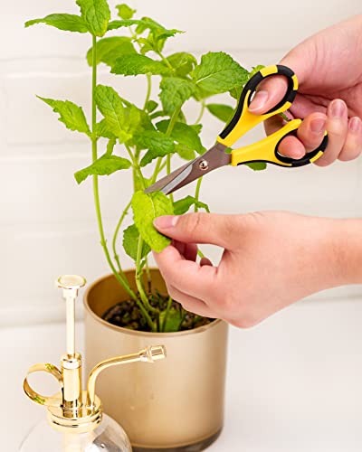 EK Tools Cutter Bee Scissors, 4 pack, Black and Yellow, Multi Pack Scissors for Fabric, Embroidery, Crafting, Herbs, Gardening, Office, Home, and All Purpose