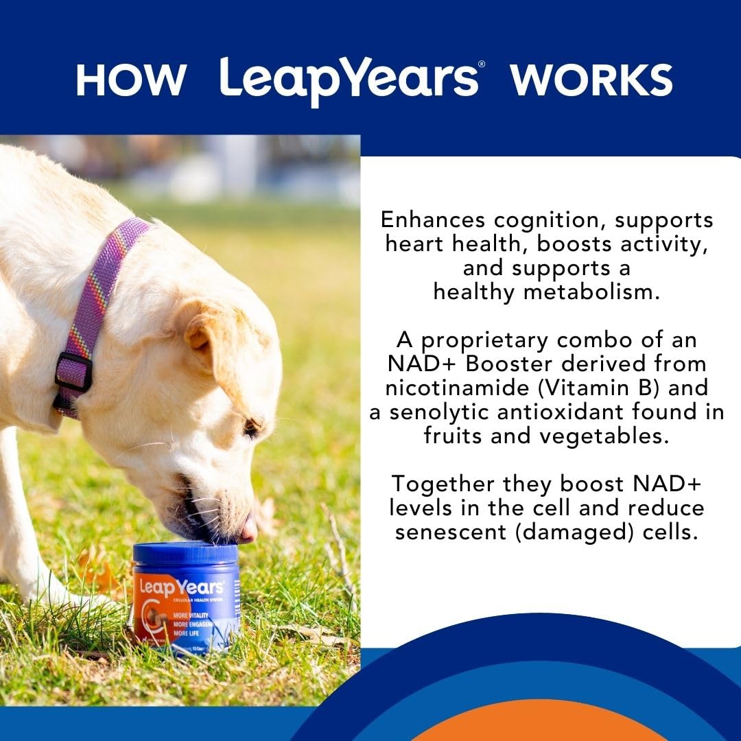 Leap Years Soft Chew Dog Supplement β Clinically Proven Daily NAD & Senolytic Formula; Support Cognition, Vitality & Healthy Cellular Aging; Beef Flavor (Large Breed (55-76 lbs))