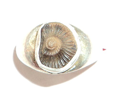 Sudarshan Shaligram Ring In Pure Silver