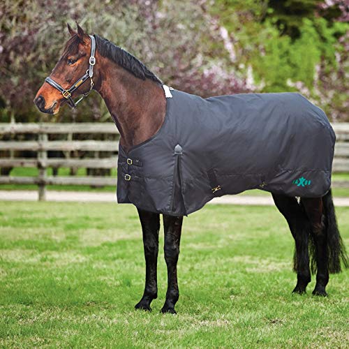 Saxon 1200D with Gusset Standard Neck Medium II Horse Blanket, Black/Black, 78"