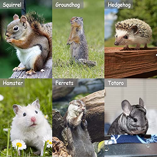 LAIRIES 2-Pack Guinea Pig Rat Hammock Guinea Pig Hamster Ferret Hanging Tunnel and Bed Hideout Set Guinea Pig Cage Bedding
