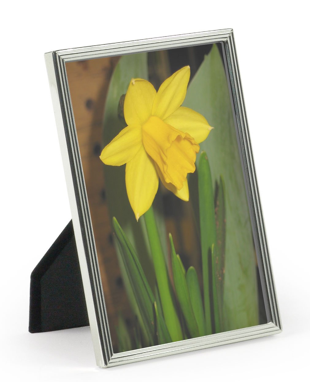 Displays2go JWS02W57 Picture Frames with Silver Steel Border (Set of 6), 5 x 7