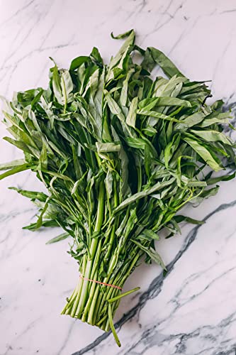 Gaea's Blessing Seeds - Ong Choy Seeds - Kong Xin CAI Kangkong - Non-GMO Seeds with Easy to Follow Planting Instructions 94% Germ Rate (Pack of 1)