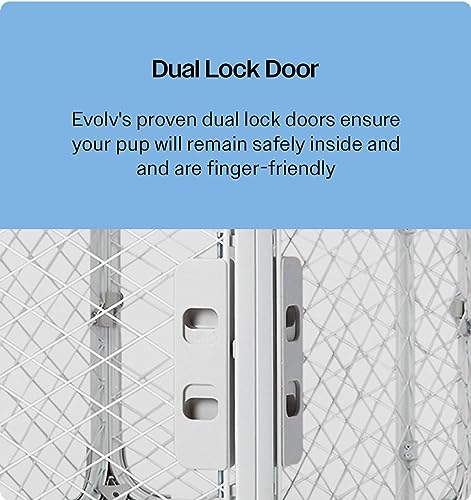 Diggs Evolv Dog Crate I Strong and Modular Design I Sturdy Playpen I Paw Safe Mesh I Built to Last for Puppies and Canines I (Large, Ash)