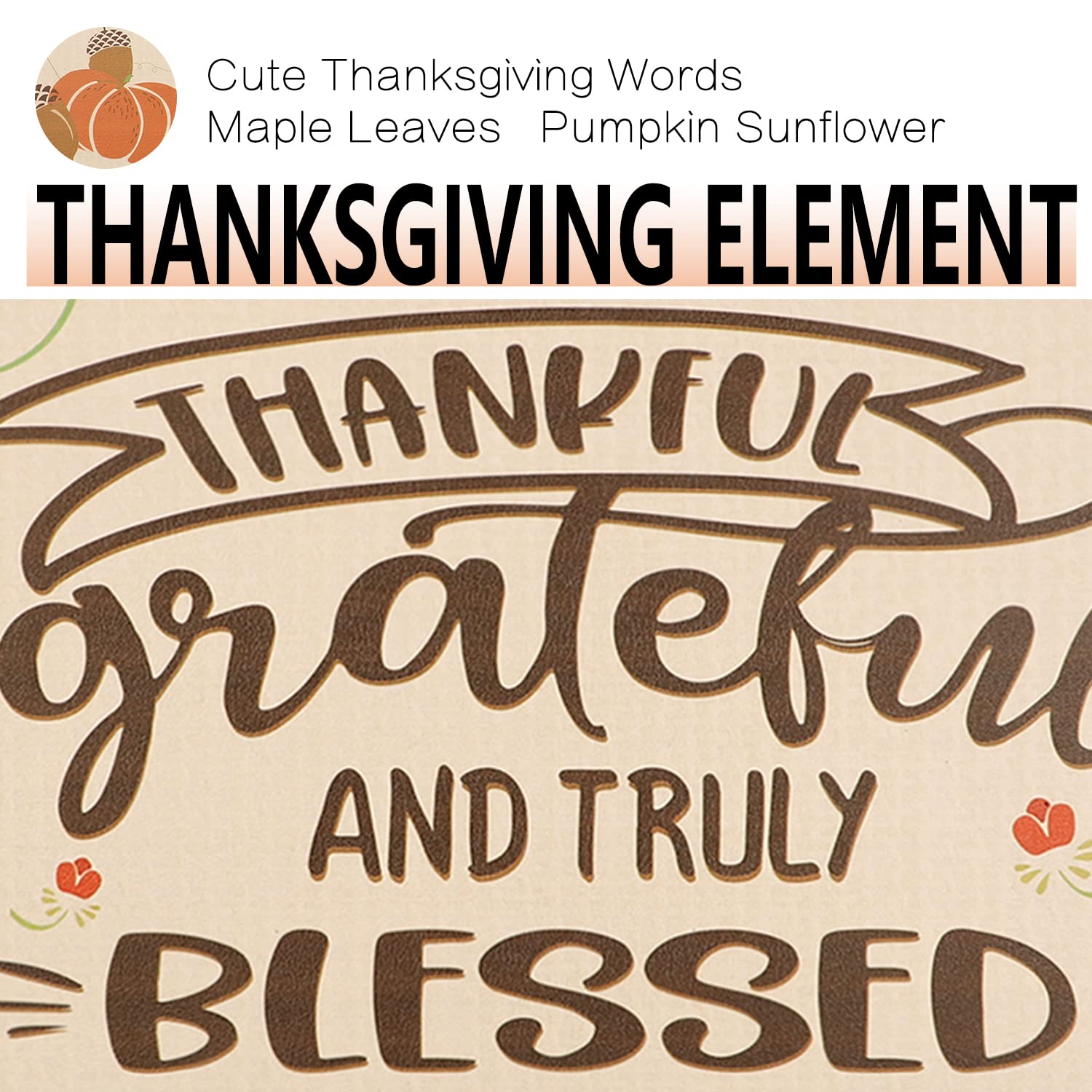 Falflor Thanksgiving Kitchen Rugs 2 PCS Farmhouse Kitchen Mats Set Dwarf Pumpkin Decorative Anti Fatigue Kitchen Floor Mats Non Slip Waterproof Comfort Standing Mats for Sink Office Desk